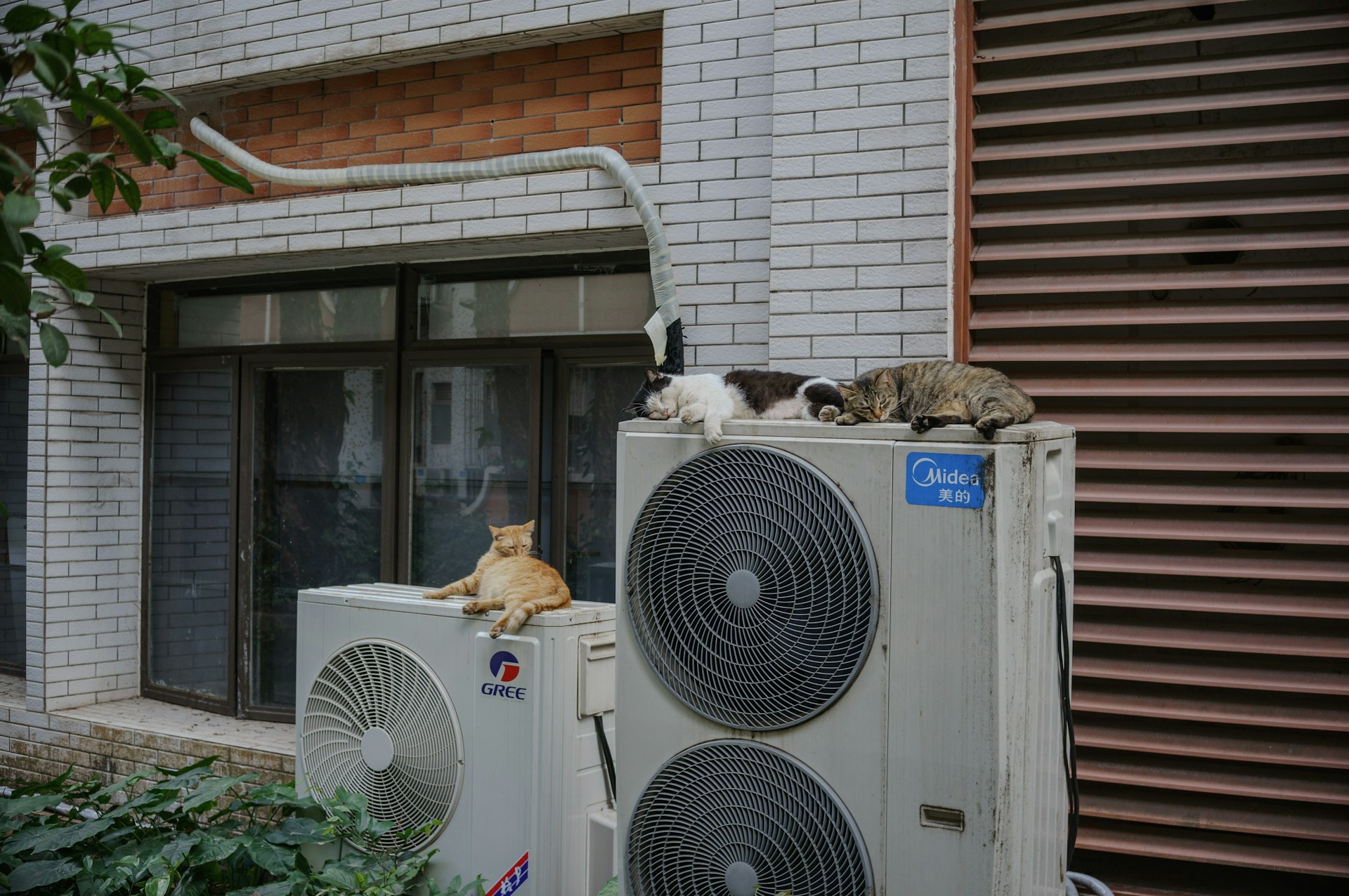 Troubleshooting Heat Pump Issues in Charleston